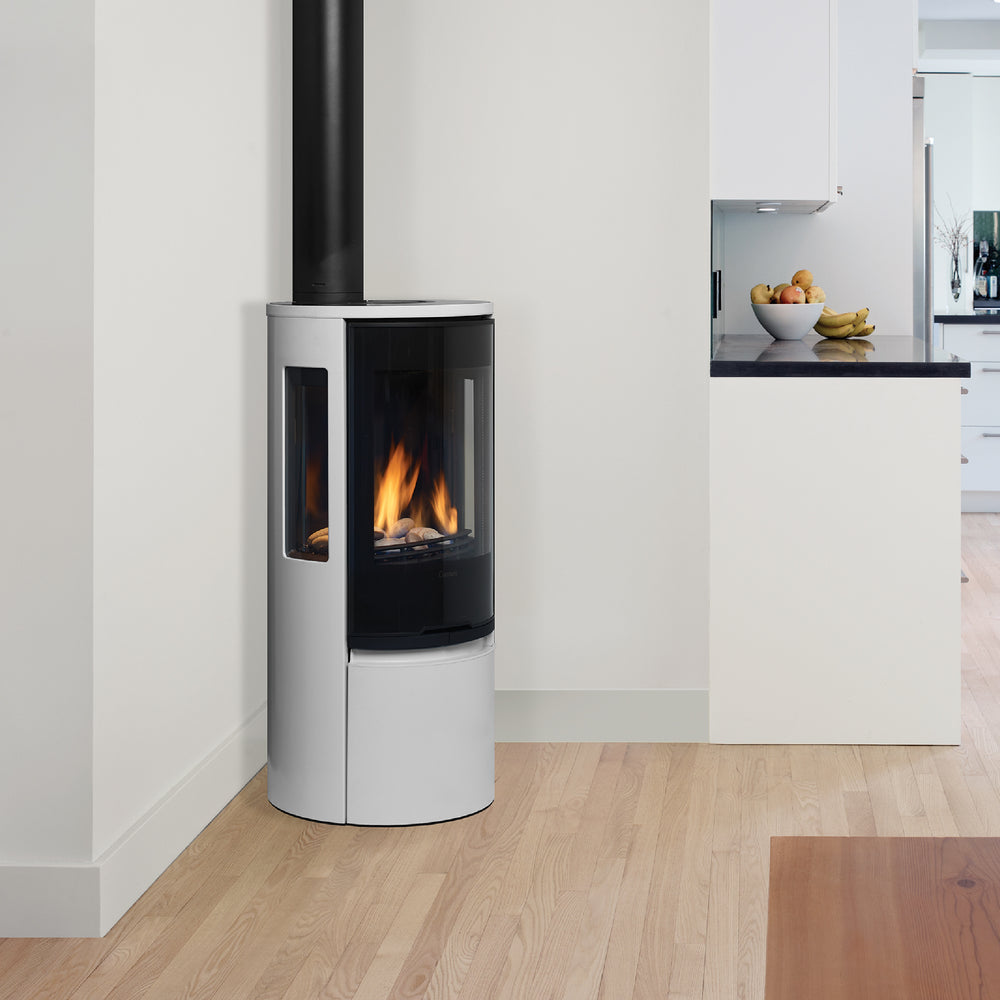 Regency Gas Stoves | Premium Heating Solutions | The Firebird