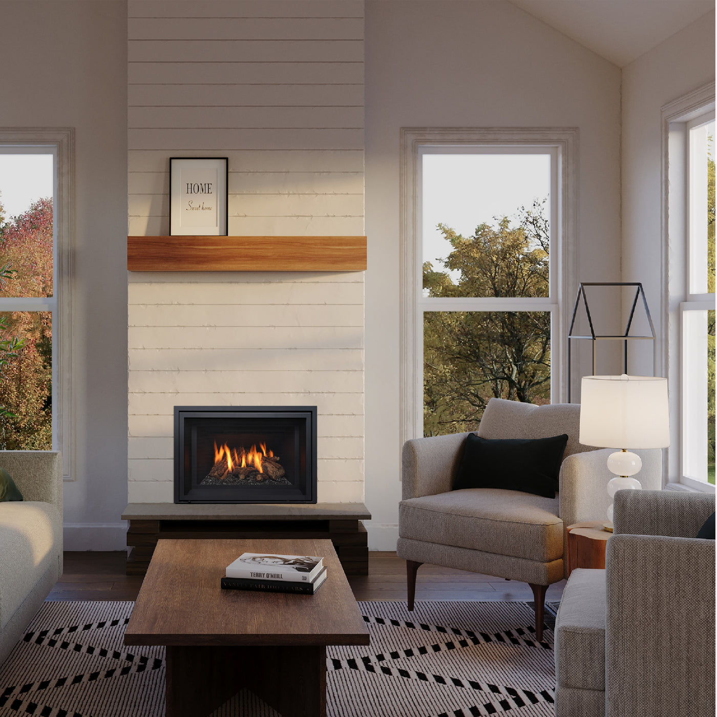 Regency Gas Fireplace Inserts | Timeless Warmth & Style