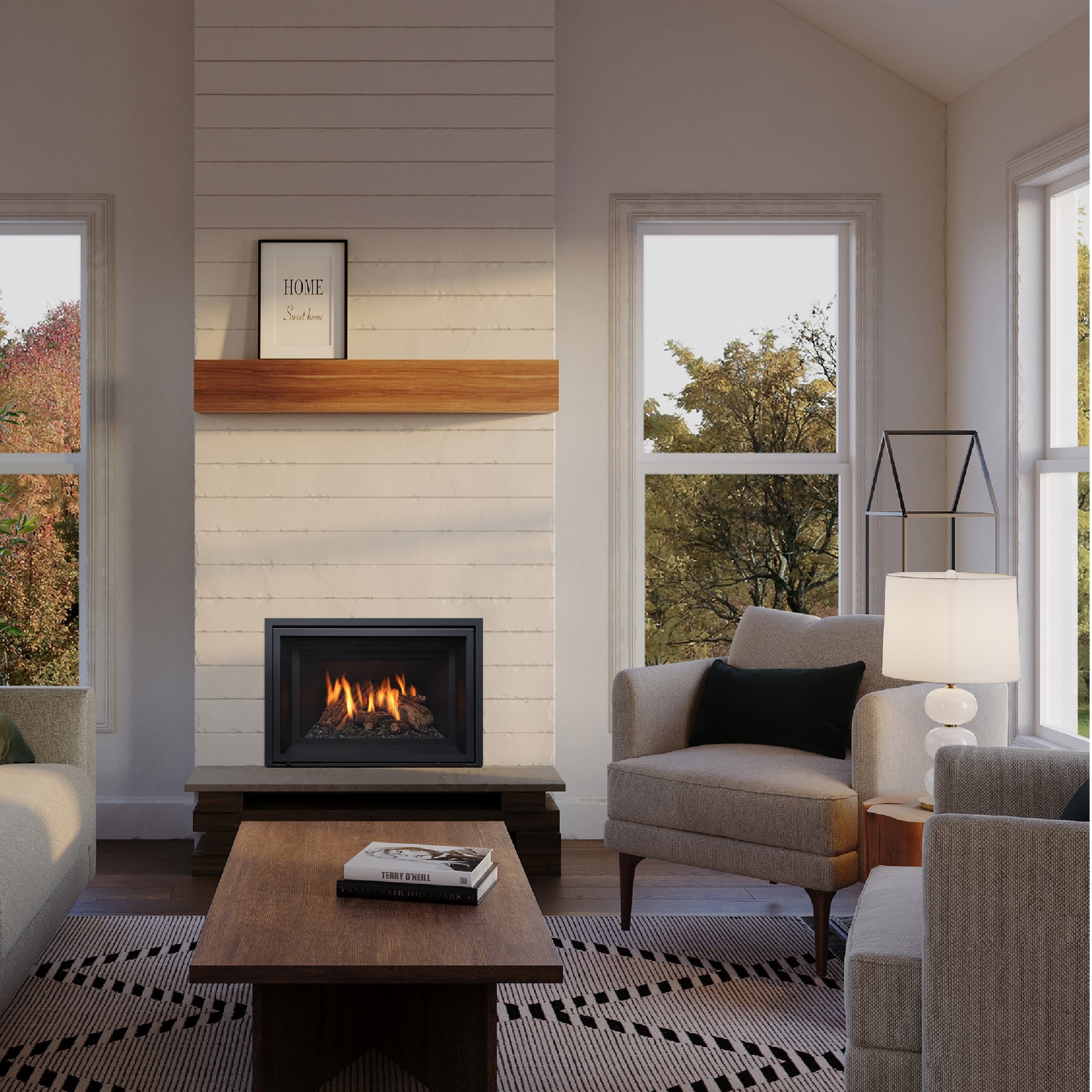 Regency Gas Fireplace Inserts | Timeless Warmth & Style