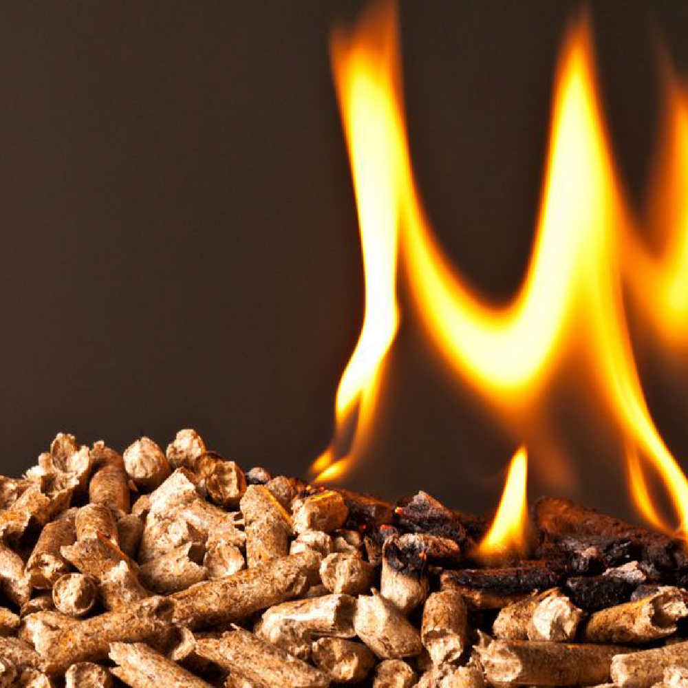 Pellet Stoves | Eco-Friendly, Cost-Effective Home Heating